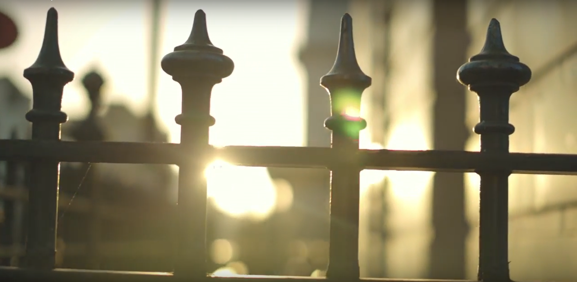 Pilgrm - Your guide on where to enjoy spring in Paddington, and making ...