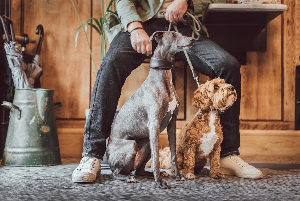Dog-friendly Hotel in London | The Pilgrm, Paddington